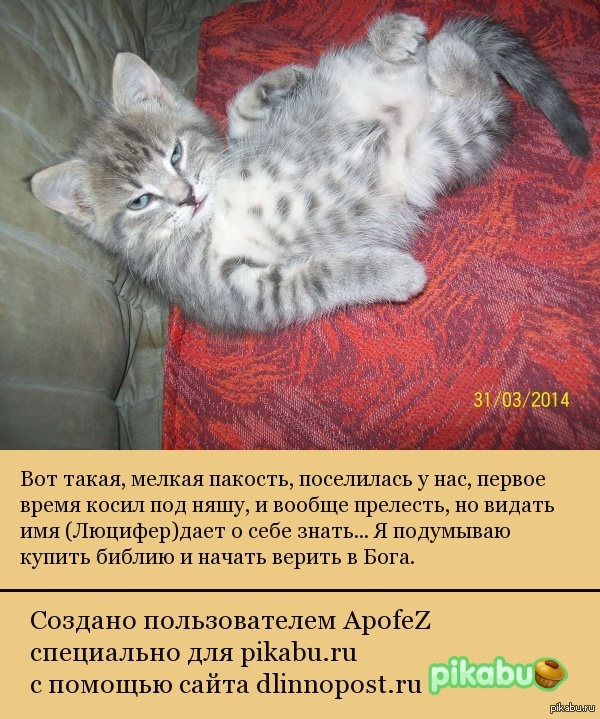 Люцифер | Пикабу