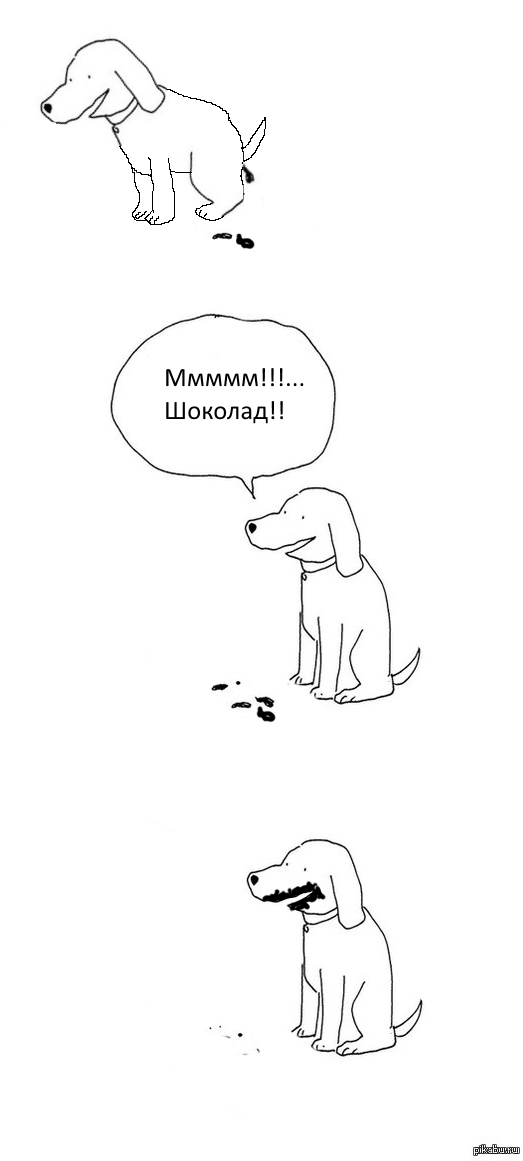 Типичный щенок | Пикабу