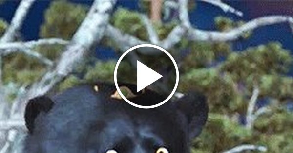 Animation errors | Пикабу