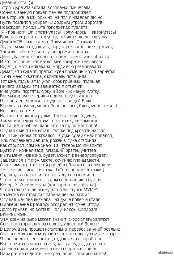 Дневник кота... | Пикабу