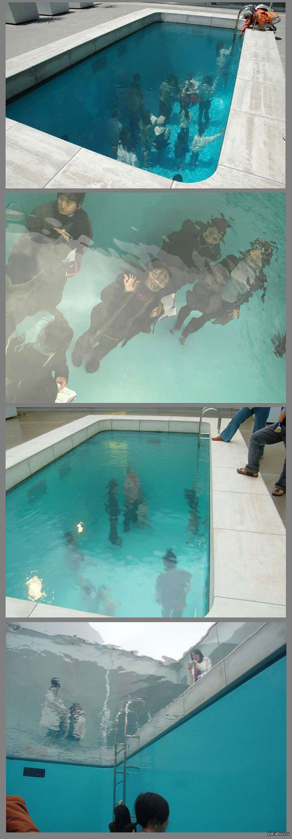 Японский бассейн в Музее искусств XXI века в городе Каназава. | Пикабу