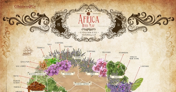 Пряно-ароматические травы Европы, Африки, Южной Америки. | Пикабу