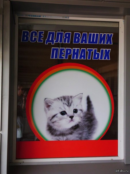 Забавная вывеска | Пикабу