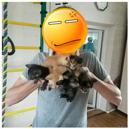 Букетик) | Пикабу