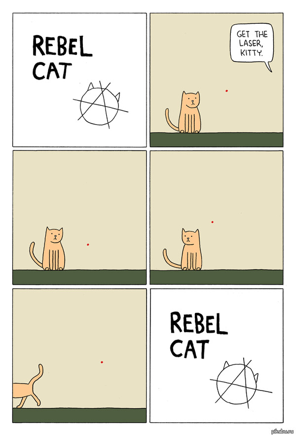 Rebel cat! | Пикабу