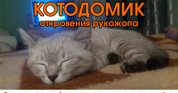 Котодомик своими руками. Назло капиталистам. | Пикабу
