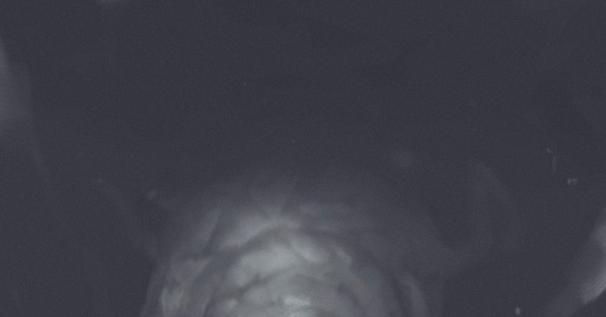 SCP-646 - "Родильный червь", нарисовал Илья Емельянов | Пикабу