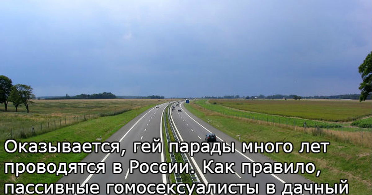 Обочечники | Пикабу