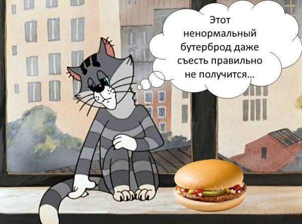 Заповеди Матроскина | Пикабу