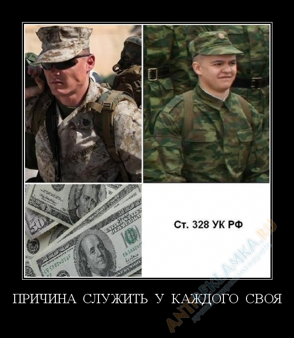 Служба в армии Пикабу