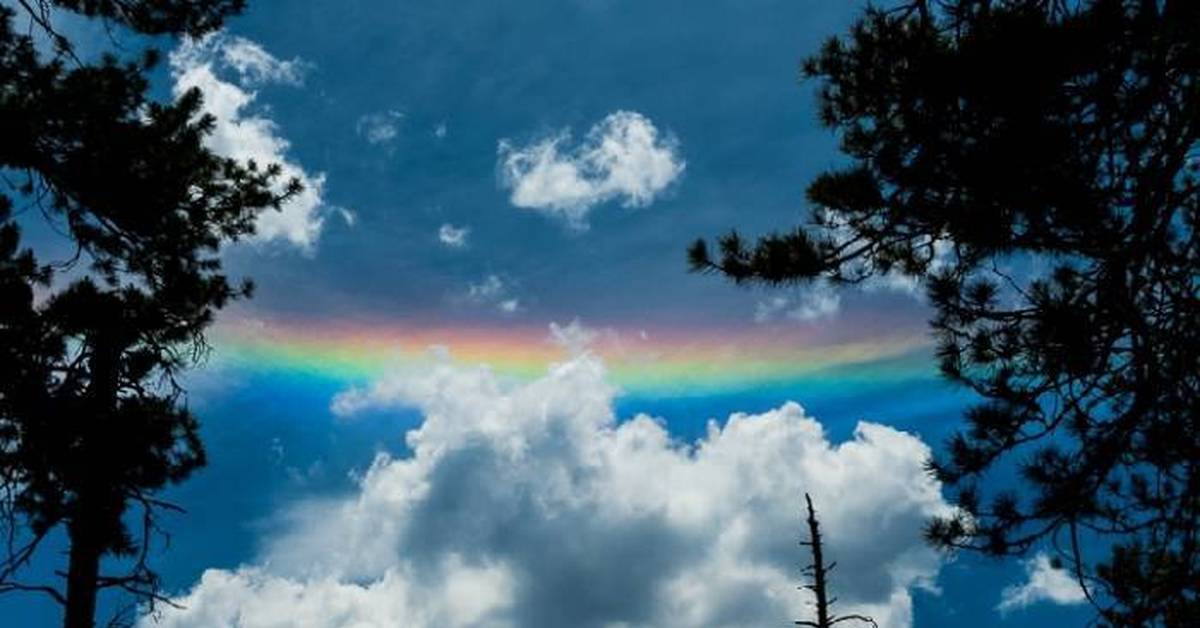 Rainbow - 11.07.16 17:20 | Пикабу