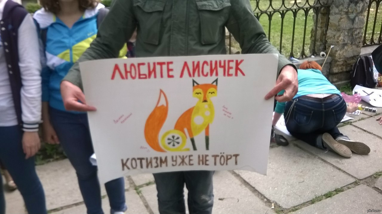 Лисизм! | Пикабу
