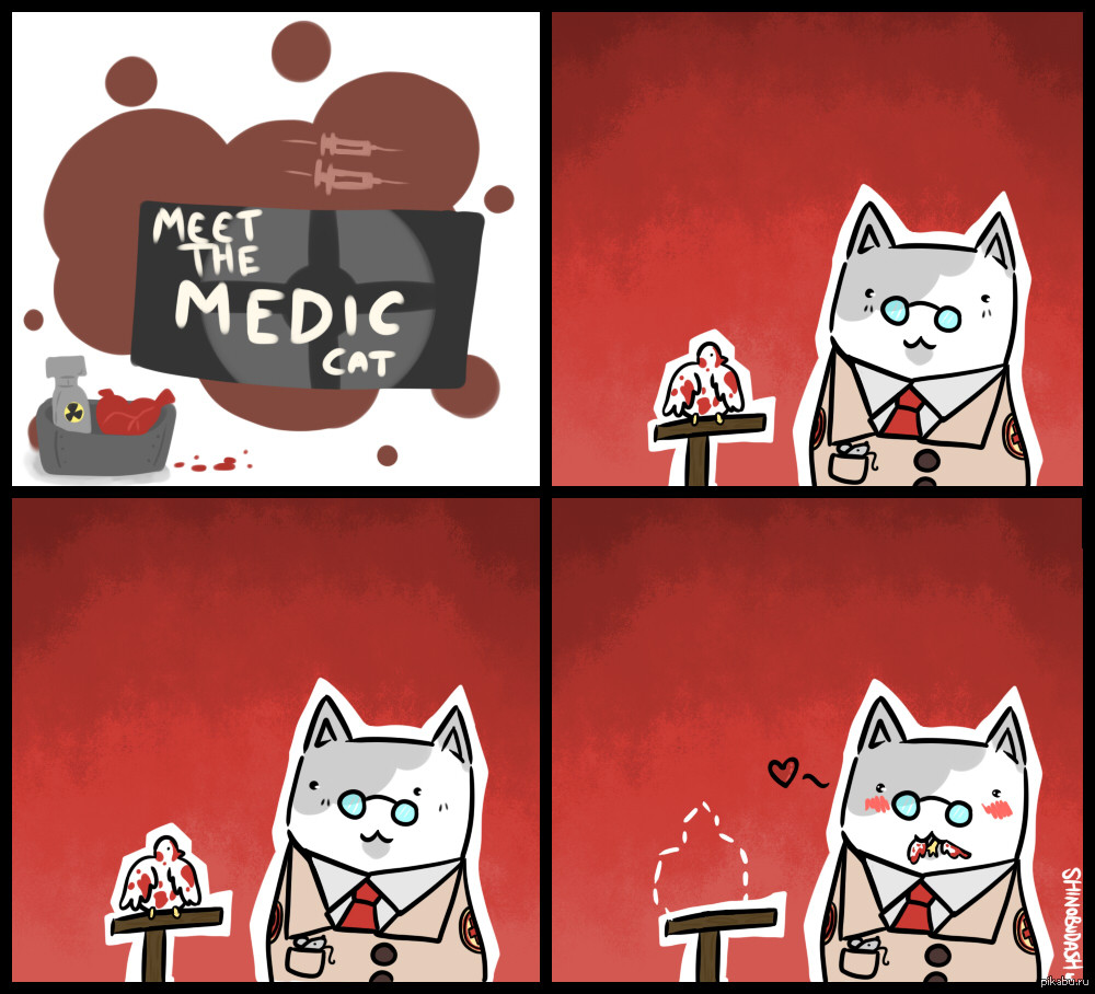 Meet The Medic Cat. | Пикабу