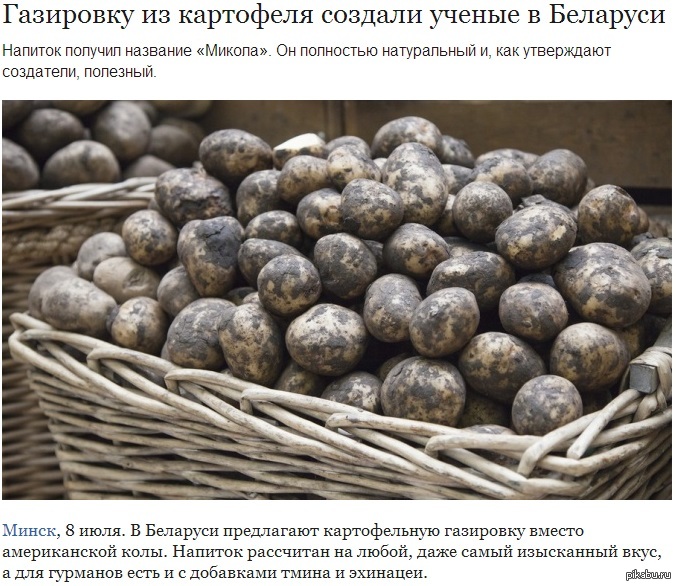Беларусь стронг! | Пикабу