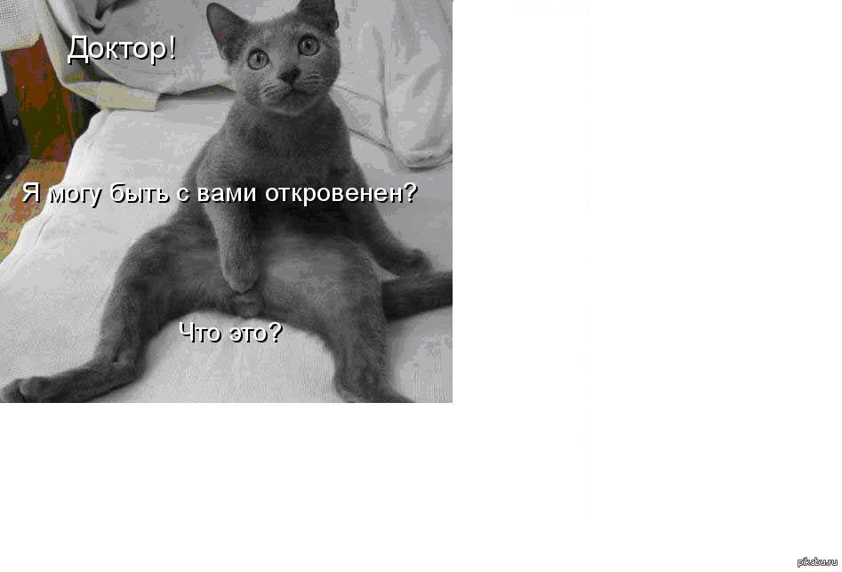 Вопрос к ветеринарам | Пикабу