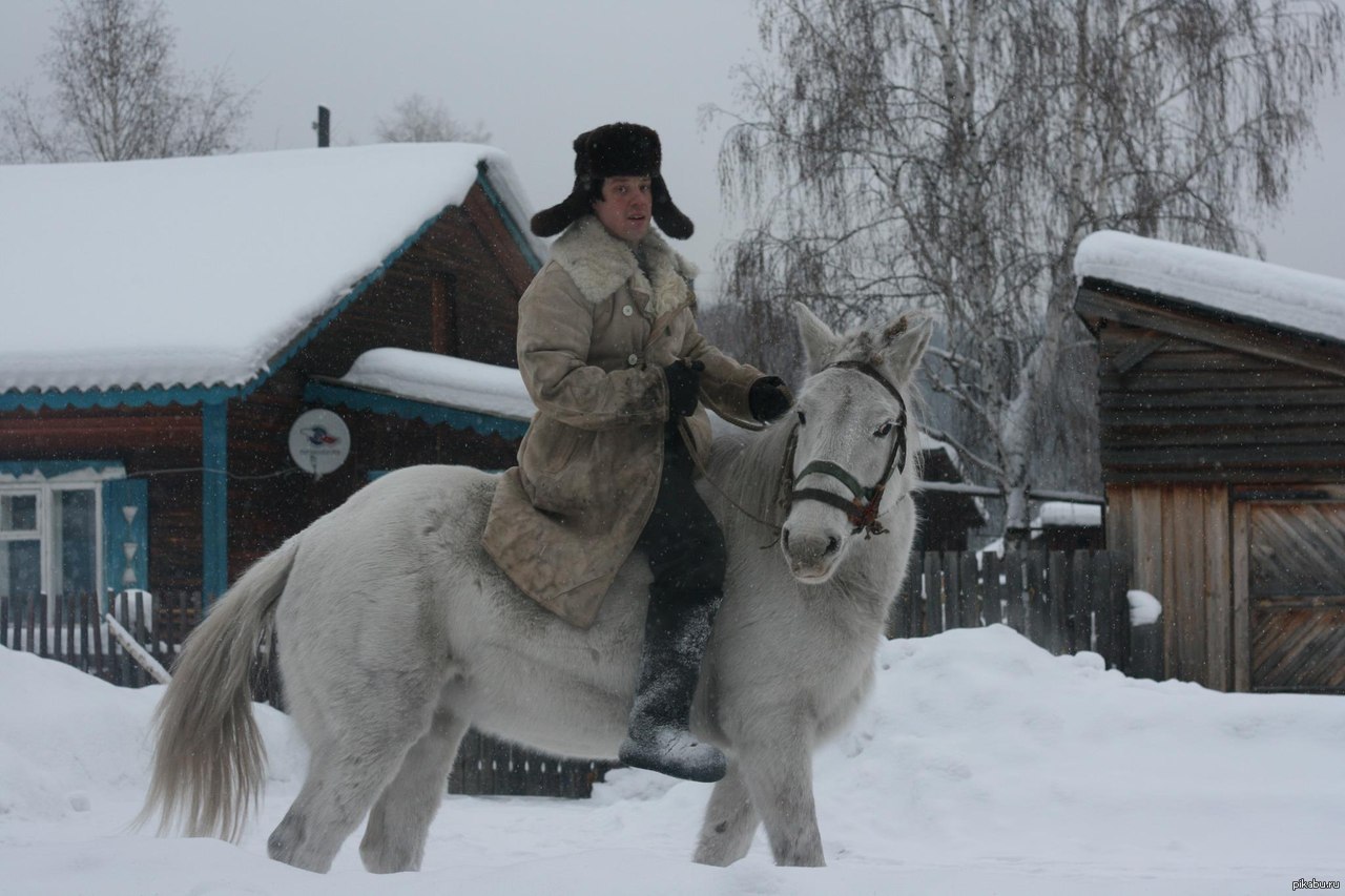 Это Джастас Уолкер | Пикабу