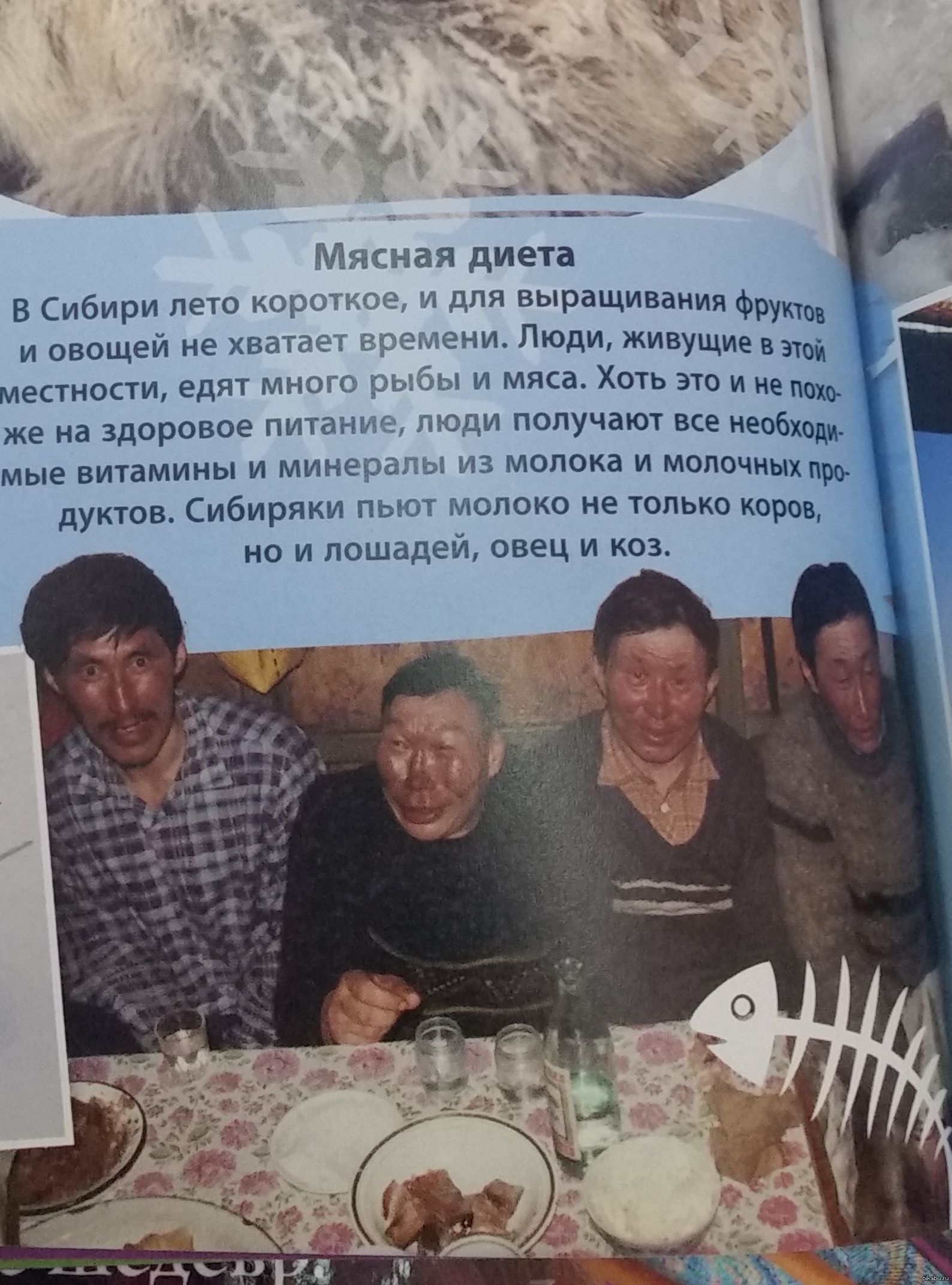 Такие вот сибиряки)) | Пикабу