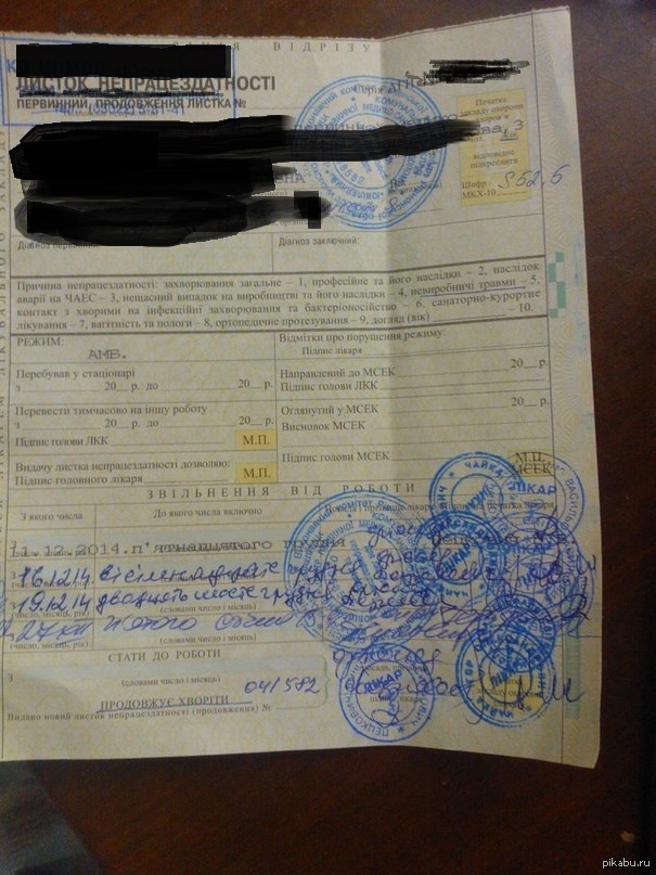 Нужно больше печатей)) | Пикабу