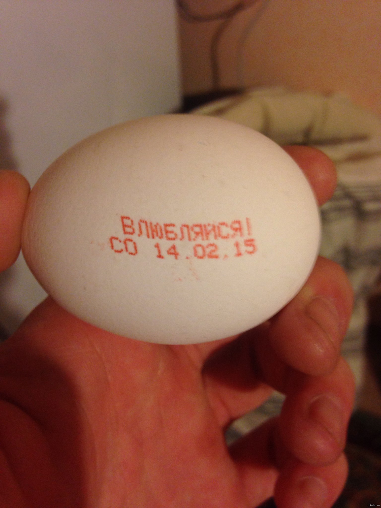 Влю6ляйся! | Пикабу