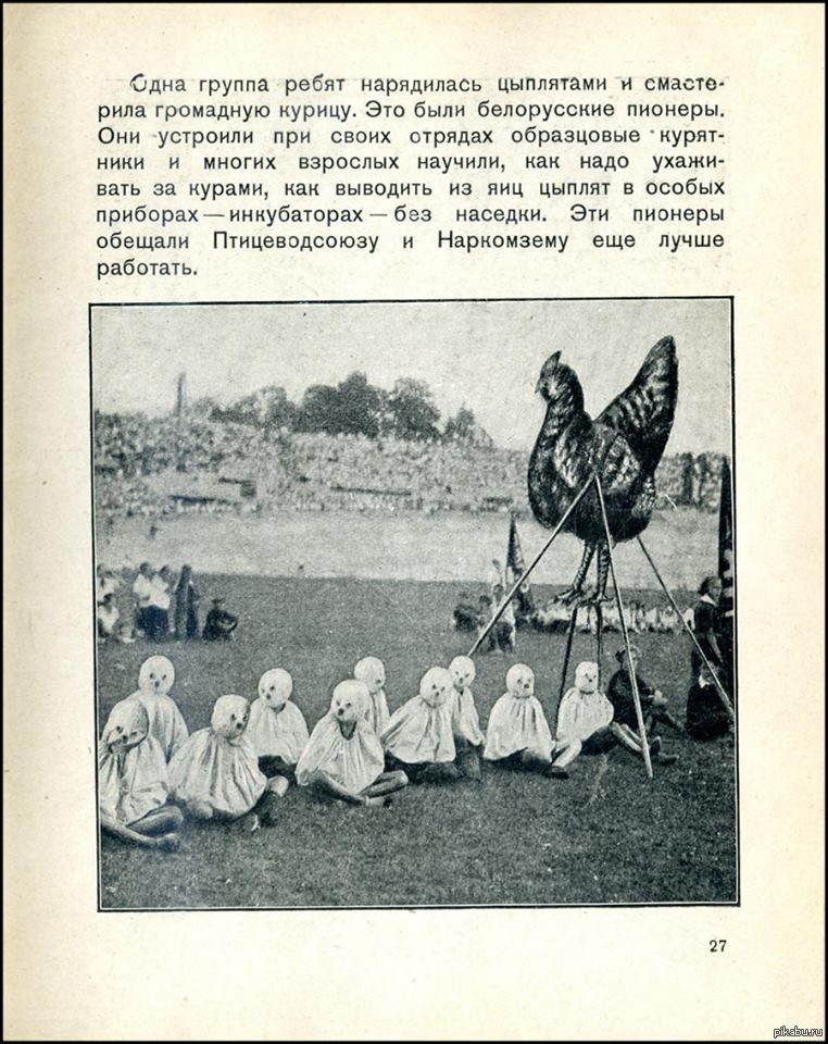 Цыплятки | Пикабу