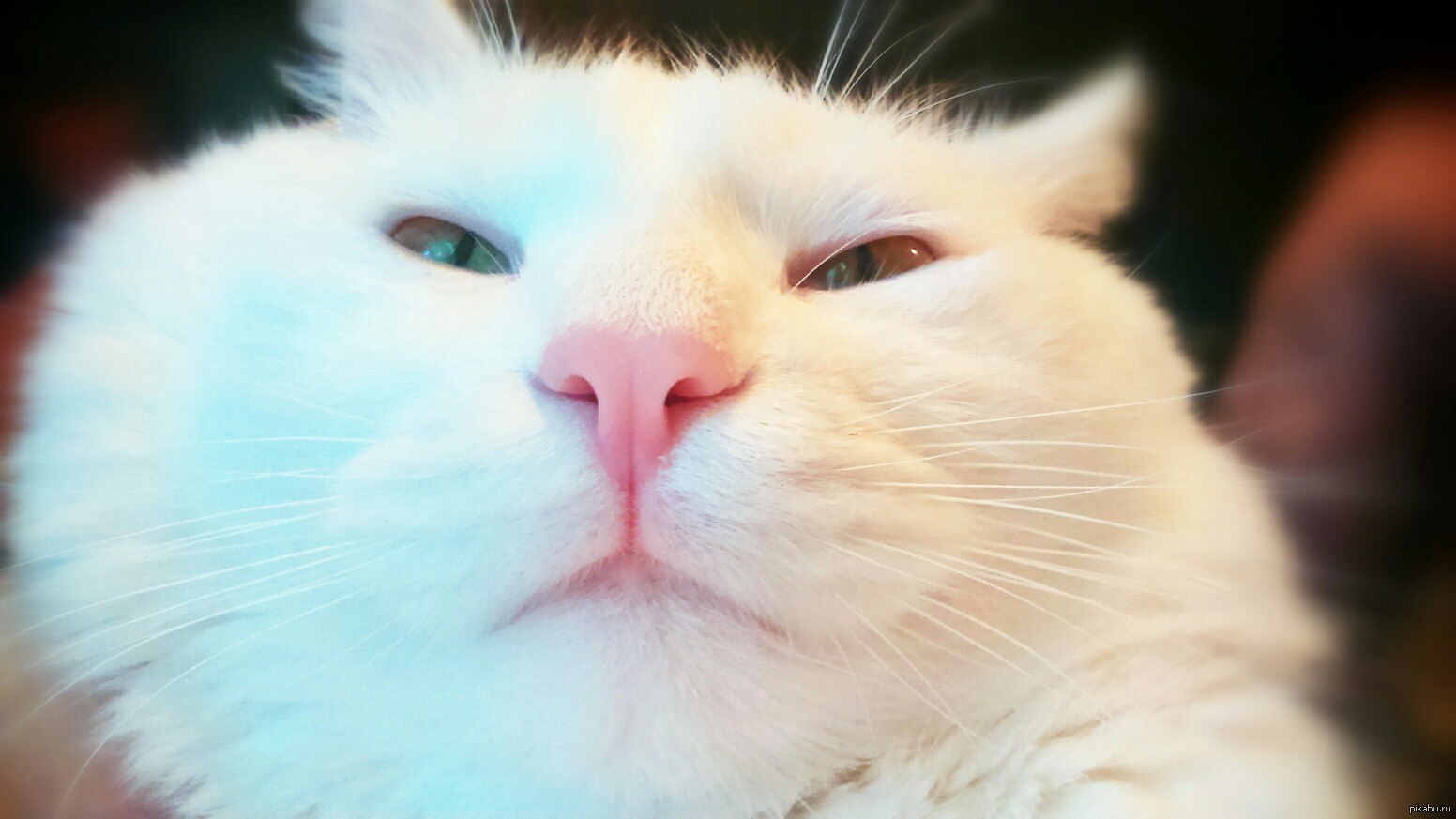 GitHub - glockstory/sneakers_db