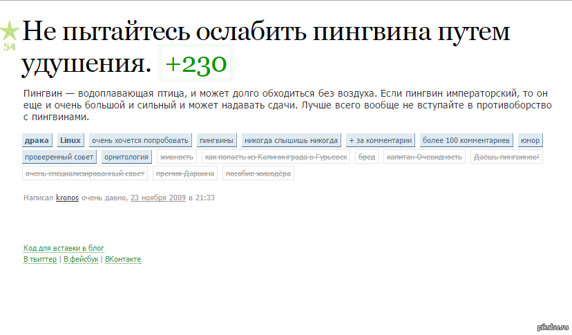 Не пытайтесь удушить пингвина. | Пикабу