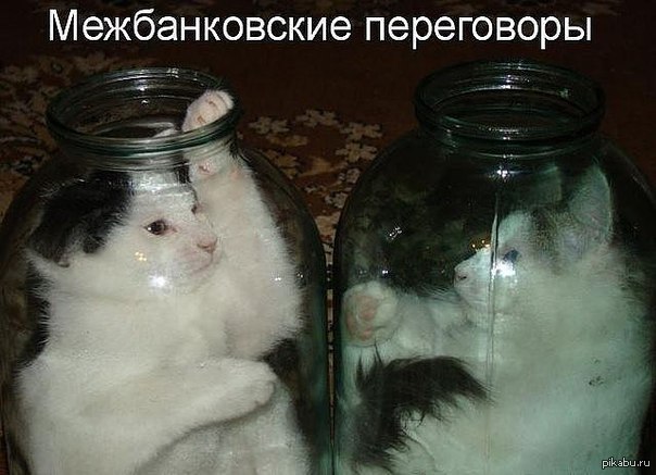 В банке) | Пикабу