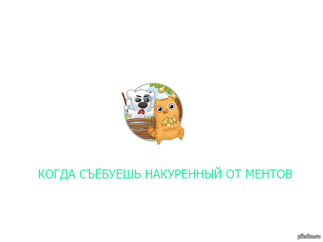 новые стикеры в вк | Пикабу