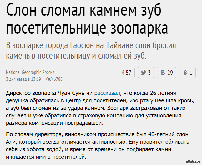 Восстание слонов началось. | Пикабу