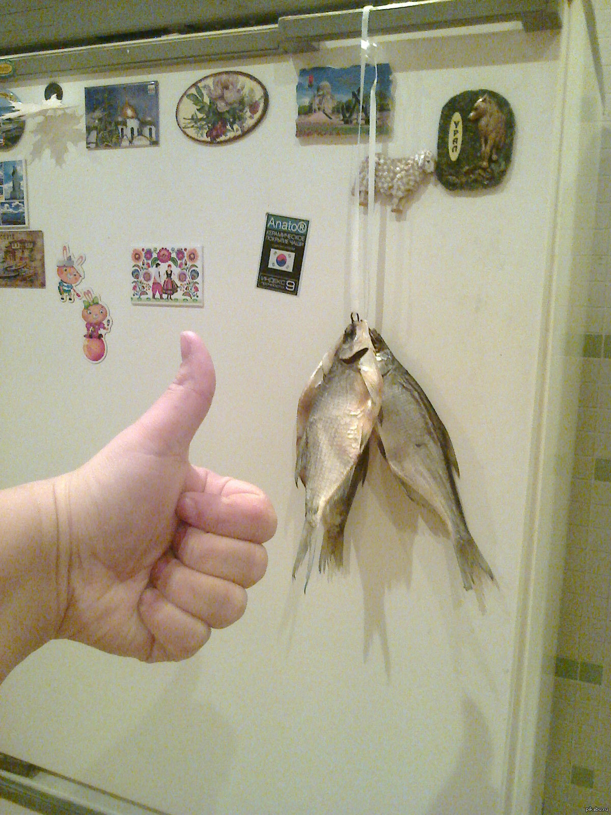 Вкусный "магнит" на холодильник | Пикабу