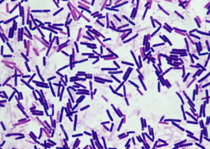 Удивительное вещество-метиловый фиолетовый | Пикабу