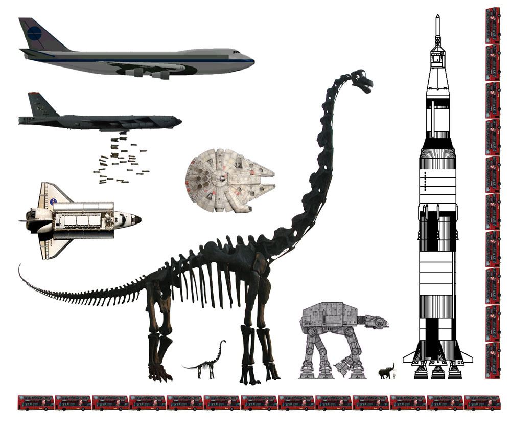 Зауроподы - самые большие динозавры когда либо ходившие по земле. | Пикабу
